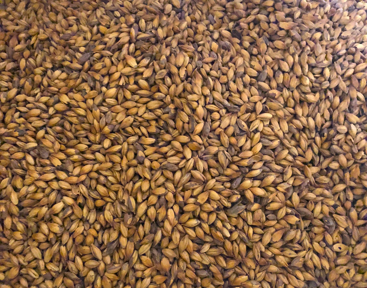 GRAINS – Hopback Homebrew Supplies