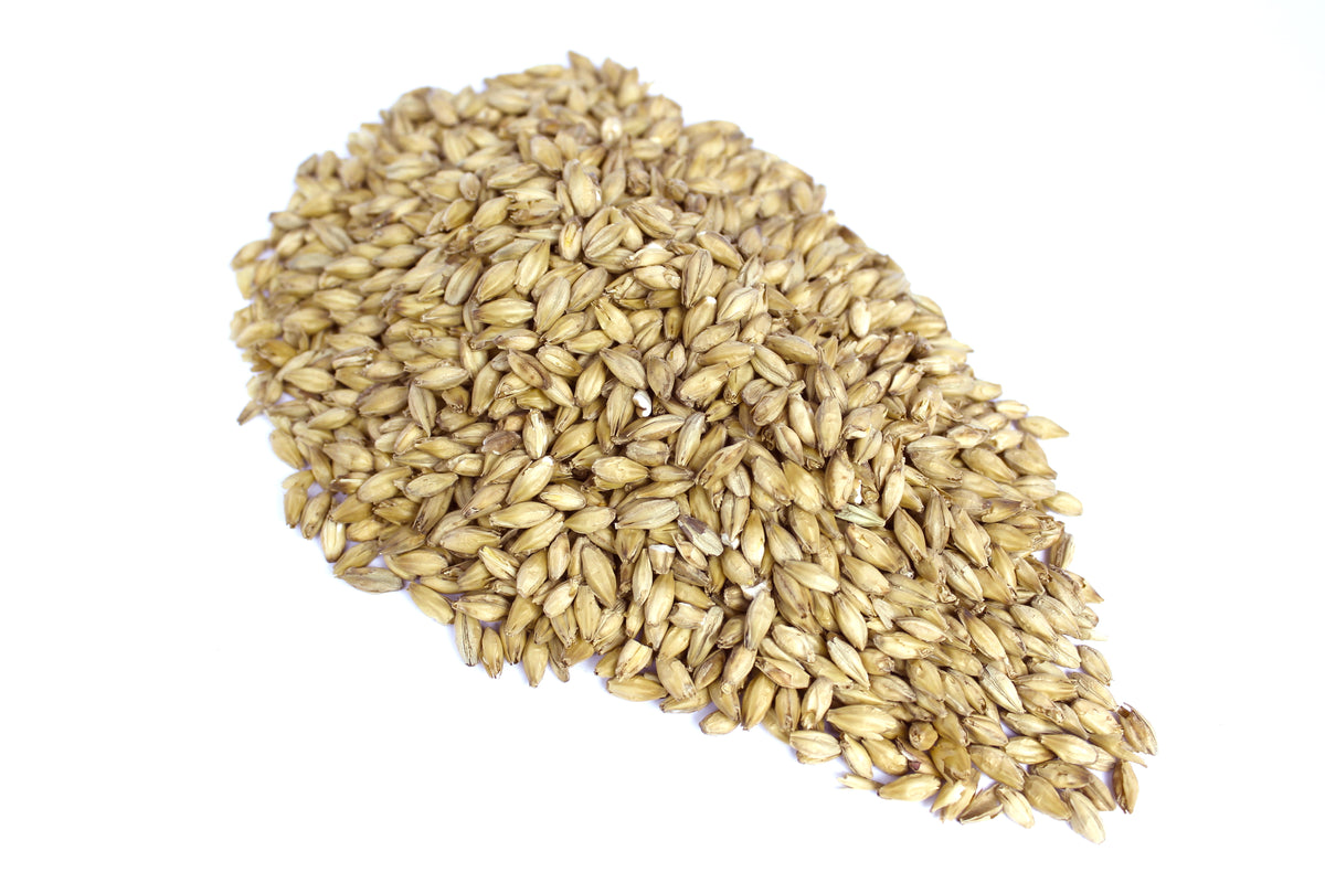 2-Row 1lb - Canada – Hopback Homebrew Supplies